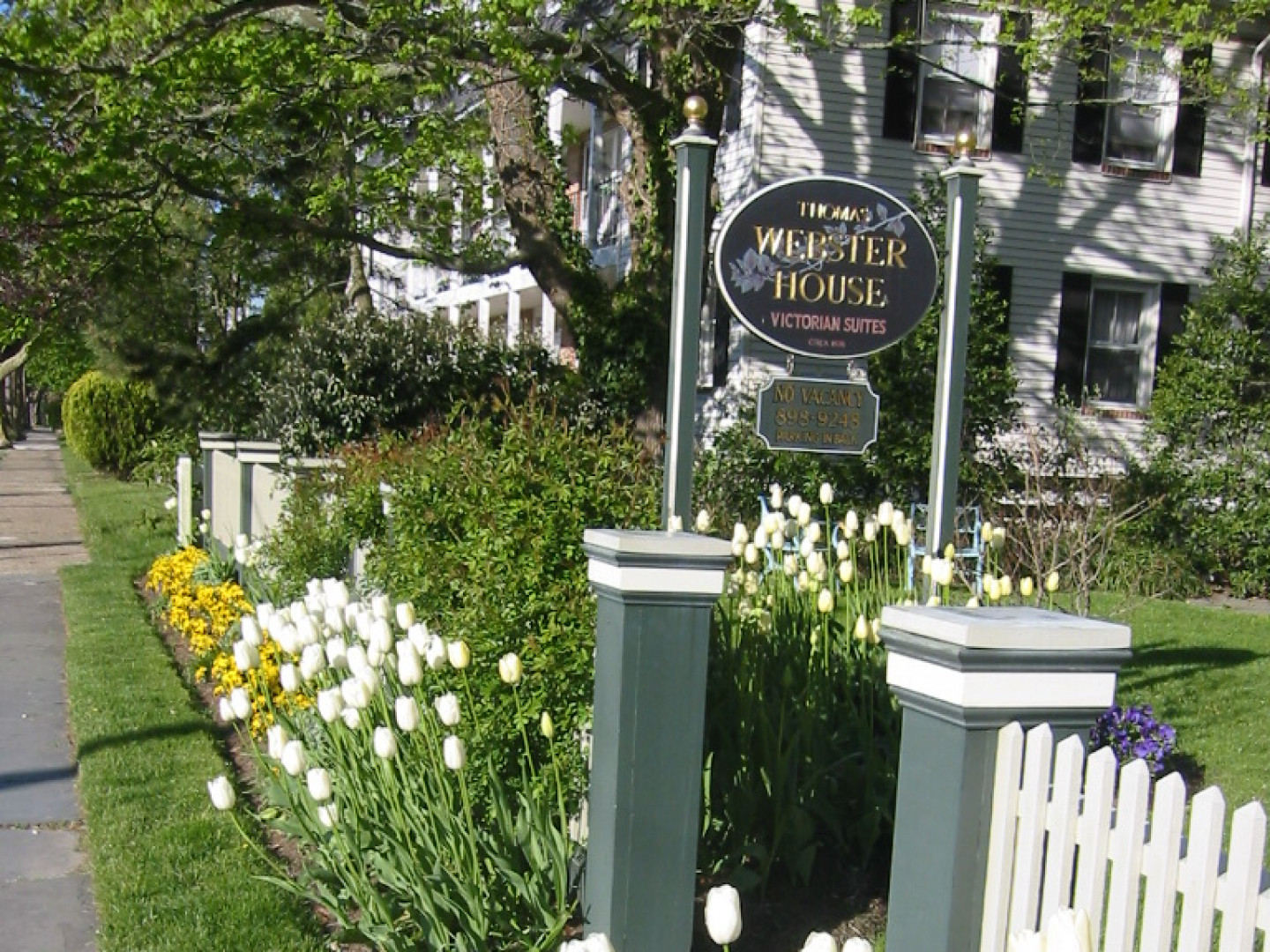 History | The Thomas Webster House